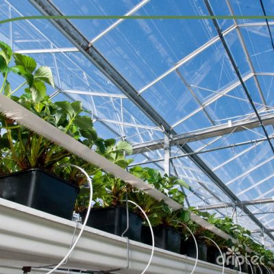 Driptec Irrigation - driptec