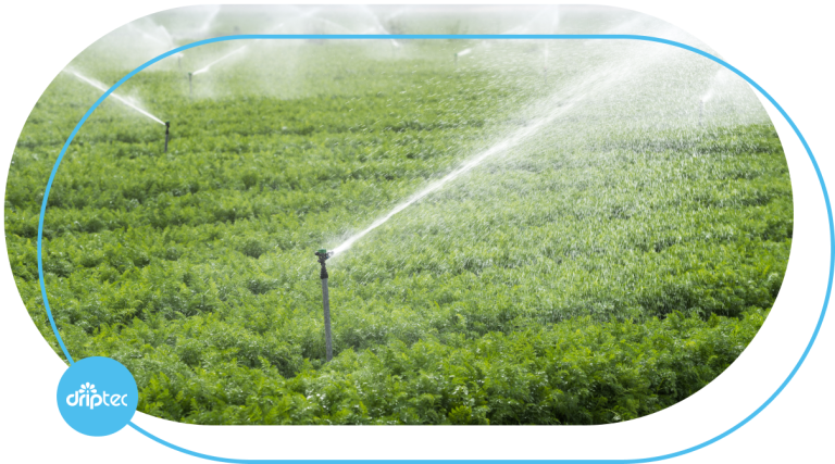 AUTOMATIC MEDICINAL PLANTS IRRIGATION SOLUTION - driptec